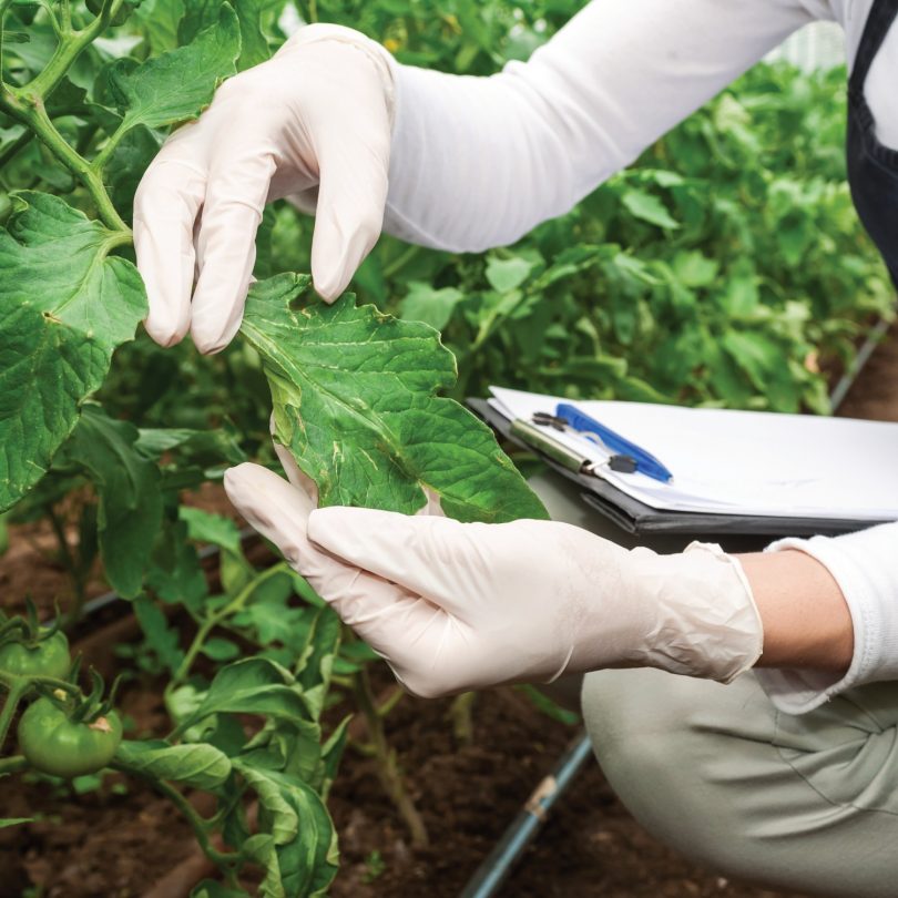 About Us – Sustainable Crop Protection Hub